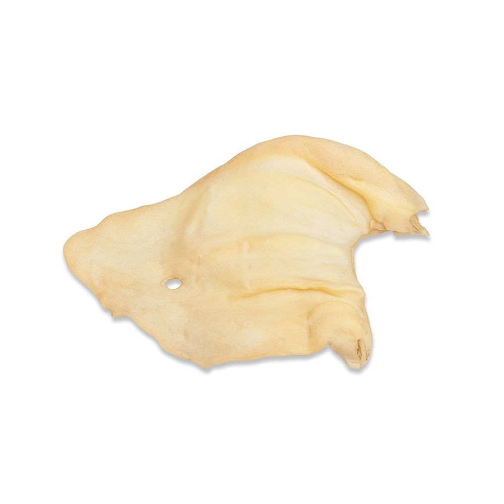 Oreja de Vaca Grande