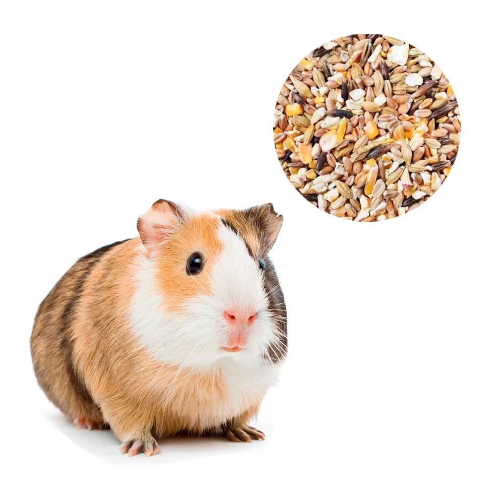 Alimento Para Cobayo 750 gr