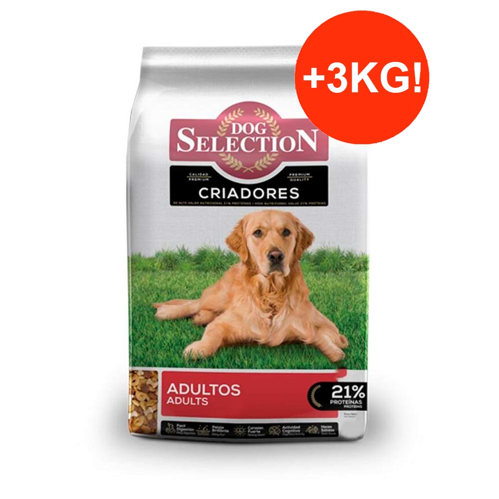 Dog Selection Adulto Criadores 21kg + 3kg GRATIS