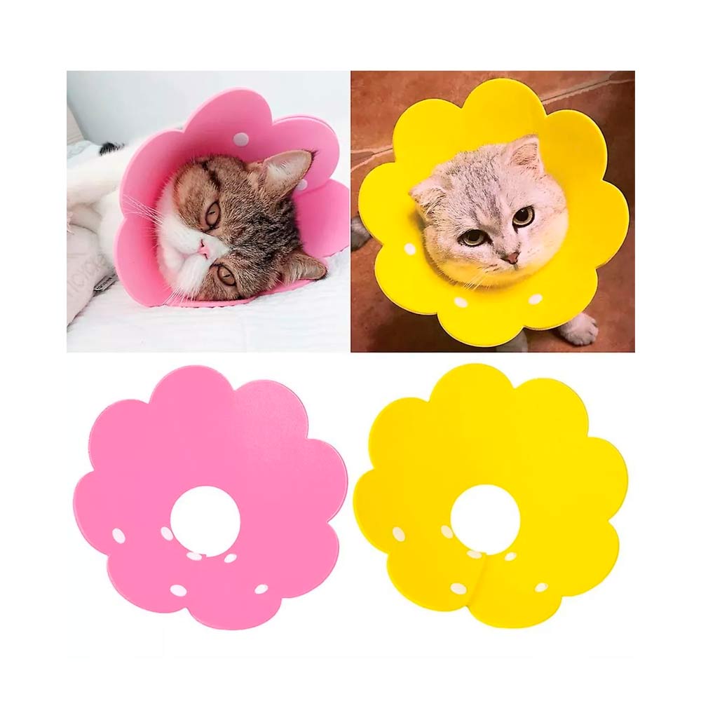 Collar Isabelino M Con Forma de Flor