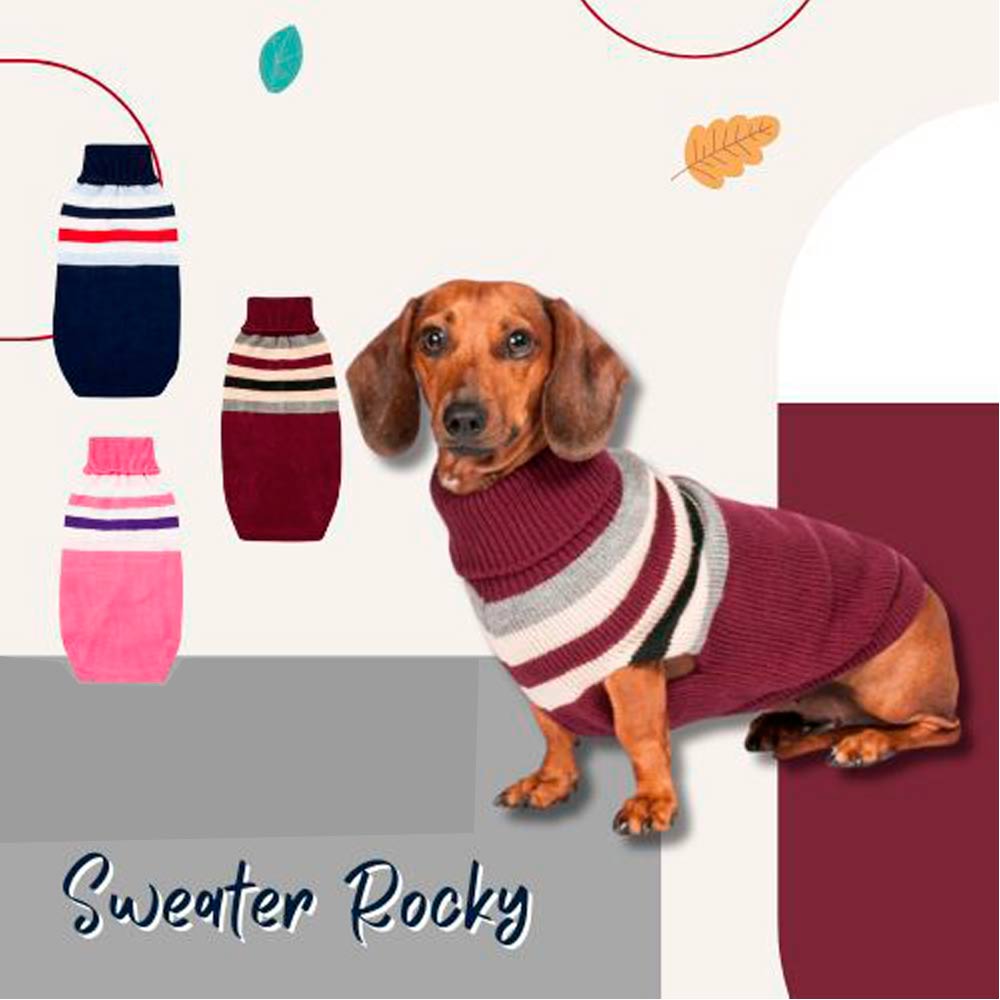 Sweater Rocky L